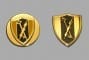 Forces Focus - US Army Unveils EW Branch Insignia | Soldier Systems ...