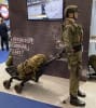 Milipol 19 - Wild Goose Tactical Hauler from Marom Dolphin - Soldier ...