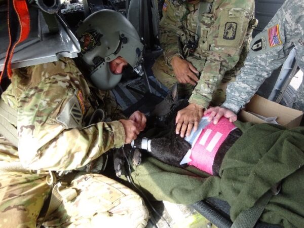 TMS Tuesday - Diesel: K9 Simulator | Soldier Systems Daily Soldier ...