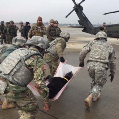 Medical Archives - Page 10 of 100 - Soldier Systems Daily