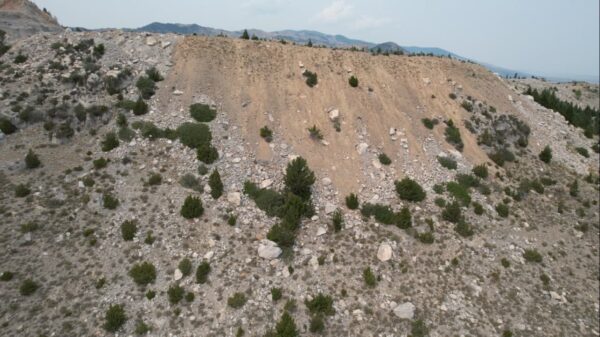 Fibrotex - Camo Trio Operational View | Soldier Systems Daily Soldier ...