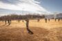 Sensors Archives - Soldier Systems Daily