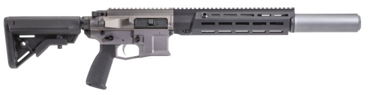 Maxim Defense's DSX Suppressor and SDX:510 SURG Earn #1 and #2 Ratings ...