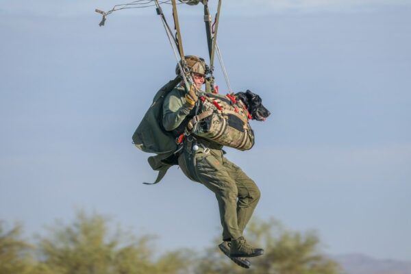 K9 - Soldier Systems Daily