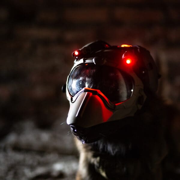 Dark Systems Launches the DarkFighter K9 Helmet GEN4 | Soldier Systems ...