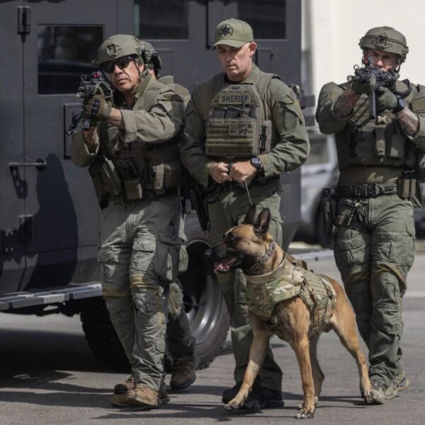 K9 | Soldier Systems Daily Soldier Systems Daily