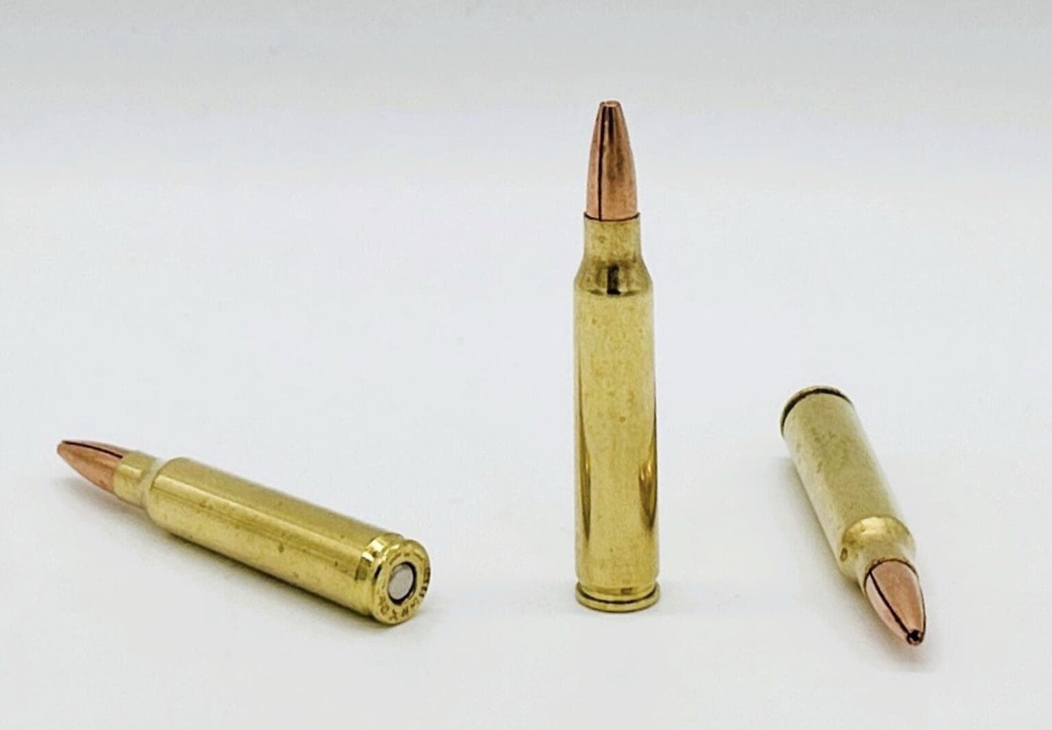 HOP Munitions Unleashes the Ultimate Hog Hunting Ammo: 62-Grain Solid ...
