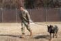 A 'Tail' of Service: Famous 'Doggles' Dog Nick Retires After Eight ...